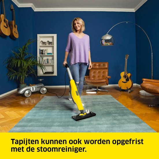 Stoomreiniger Vloer - Stoomreinigers Vloer En Tapijt - Tapijtreiniger ...