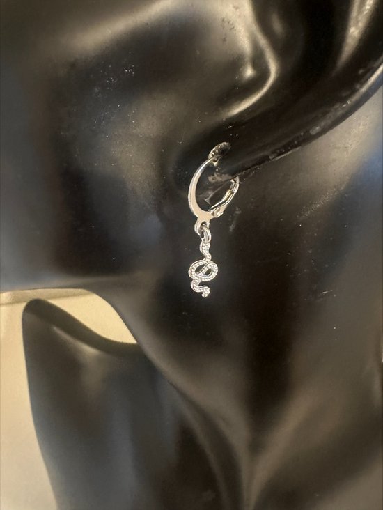 zilverkleurige oorringetjes met een slangetje | Moederdag ...