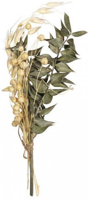 Klein bosje droogbloemen in creme en groene tinten linte 18/20 cm | bol