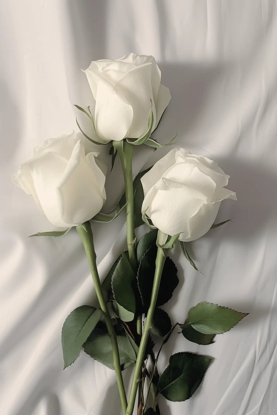 Poster Witte Rozen | Witte Roos Poster | Bloemenposter | Minimalistic Poster |... | bol