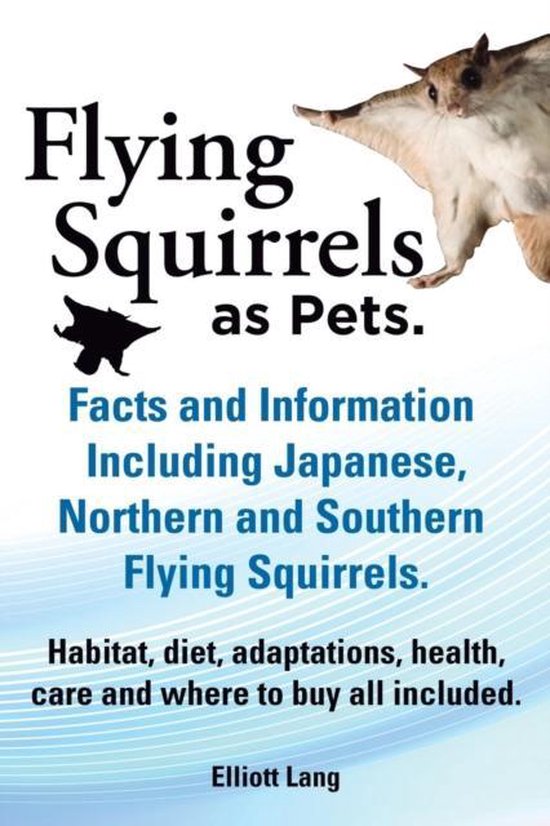 Flying Squirrels as Pets. Facts and Information. Including Japanese ...
