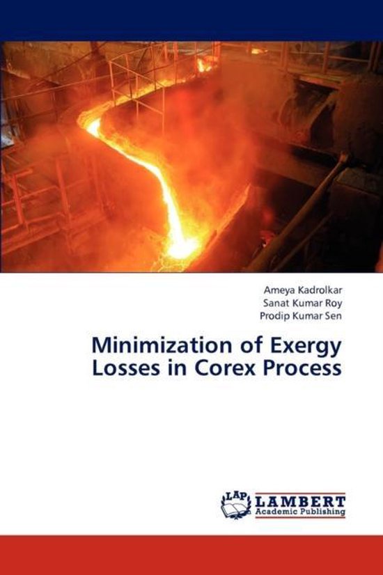 Minimization of Exergy Losses in Corex Process | 9783845438948 ...