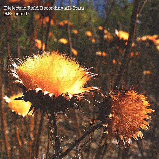 Re: Record | CD (album) | Muziek | bol.com