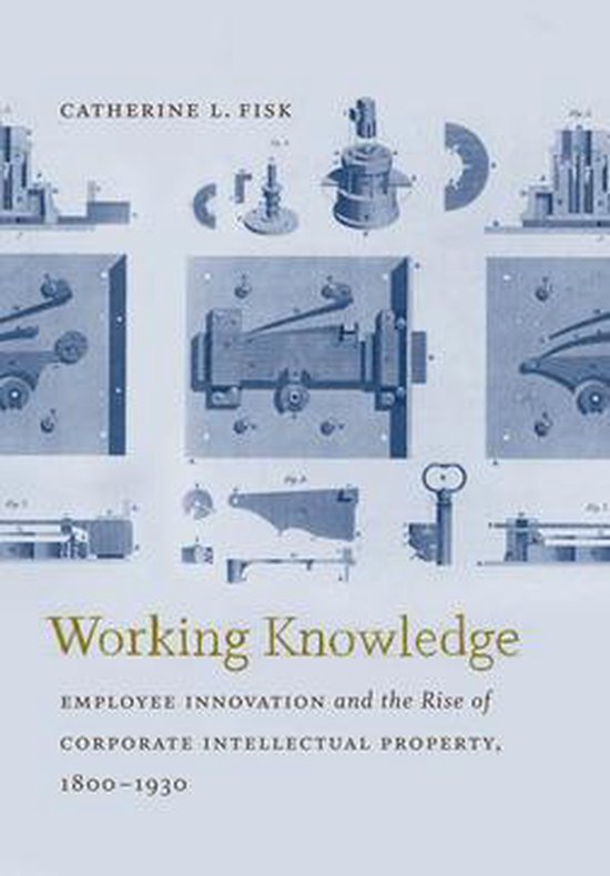 Studies in Legal History - Working Knowledge (ebook), Catherine L. Fisk ...