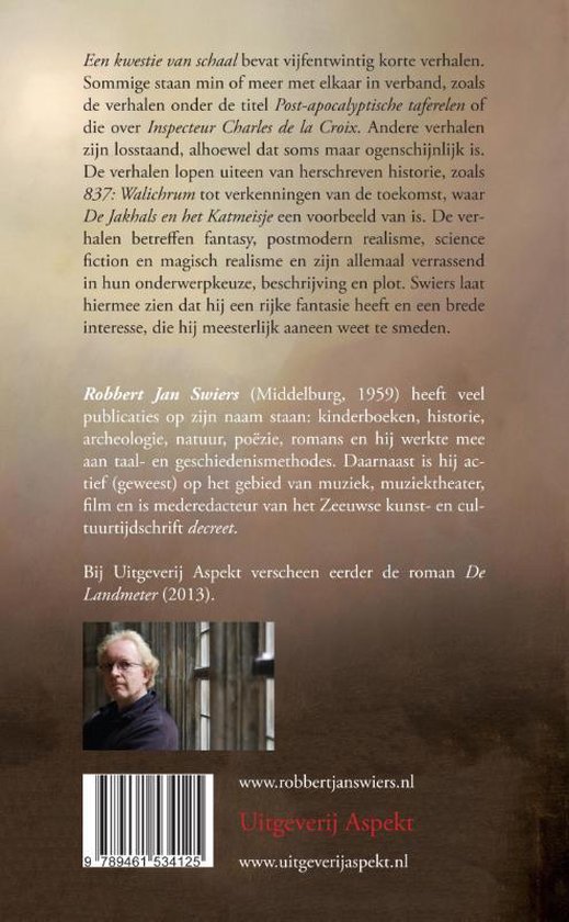 Een kwestie van schaal, Robbert Jan Swiers | 9789461534125 | Boeken | bol
