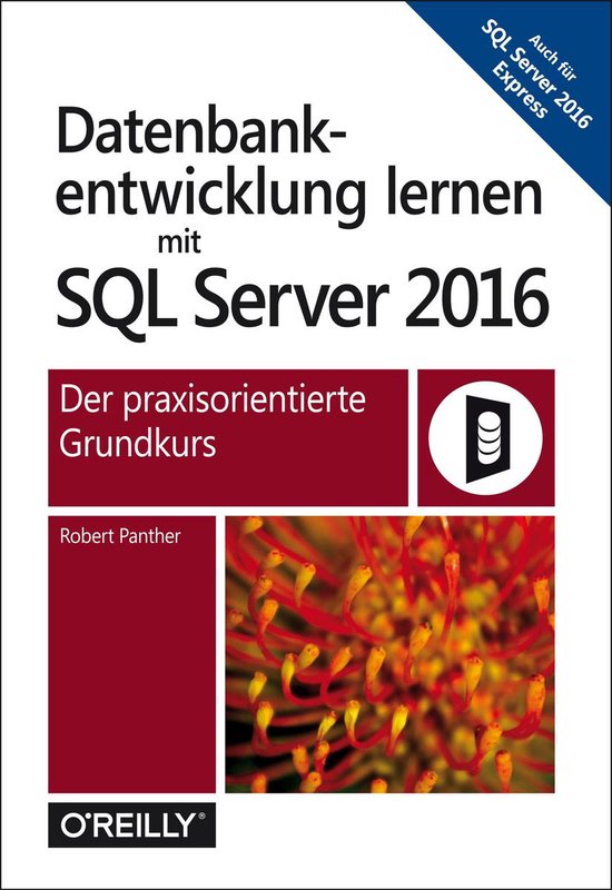 Datenbankentwicklung lernen mit SQL Server 2016 (ebook), Robert Panther |... | bol.com