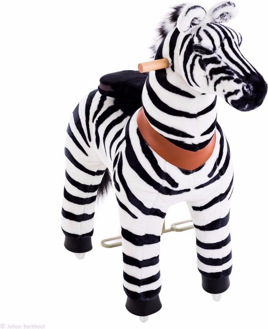 Kinder zebra Sol ponycycle groot | bol.com
