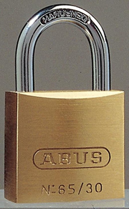 Abus 65/30 - Hangslot - 30x50x14 mm - 3 cm - Goud | bol.com
