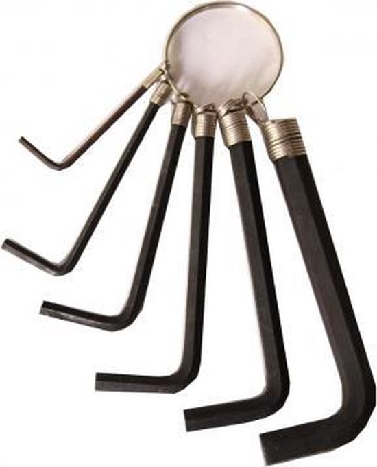 Vwp Inbus Sleutel Set Aan Ring 2-3-4-5-6-8 | bol