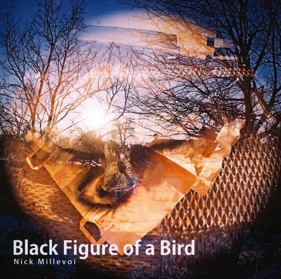 Black Figure of a Bird, Nick Millevoi | CD (album) | Muziek | bol.com