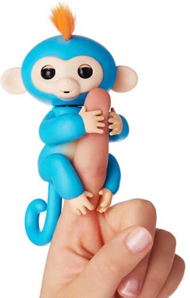 Fingerling monkey - vingeraapje -finger monkey -zwart baby aapje ...
