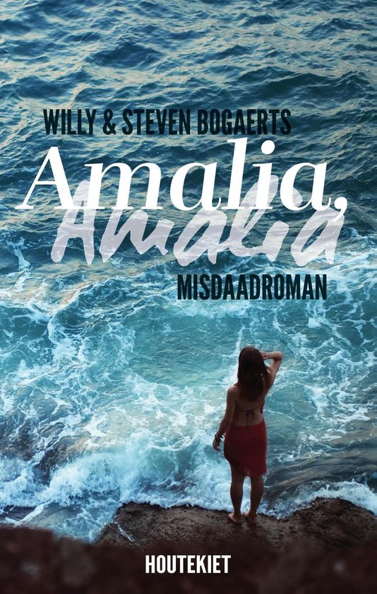 Amalia, Amalia (ebook), Willy Bogaerts | 9789089244352 | Boeken | bol