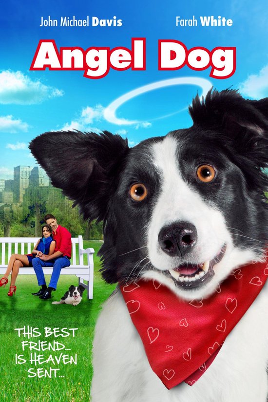 Angel Dog (DVD) (Dvd), Maurice Ripke | Dvd's | bol