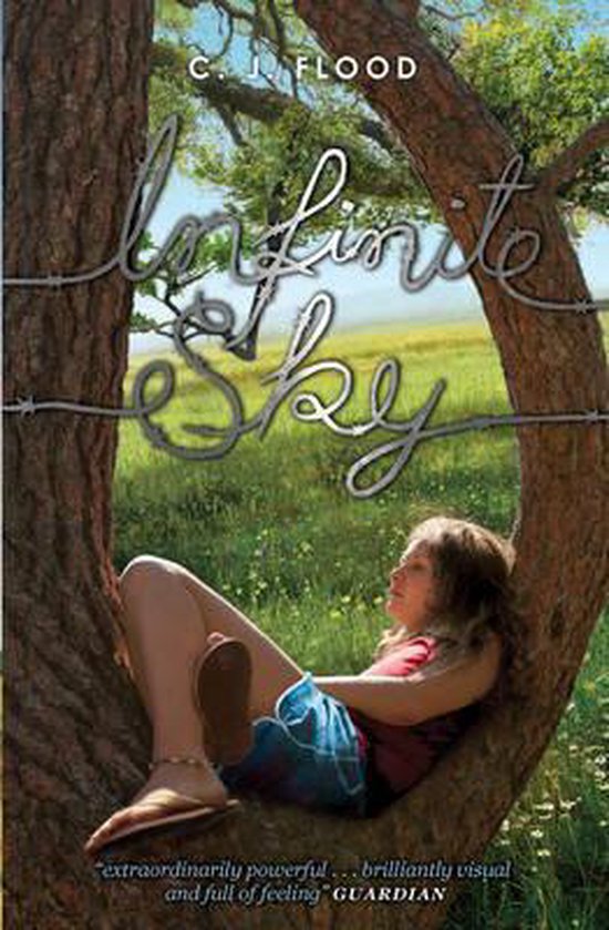 Infinite Sky, C. J. Flood | 9780857078032 | Boeken | bol.com