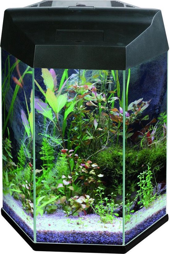 KREA Array Of Large Upright Glass Hexagon Aquariums, 47% OFF