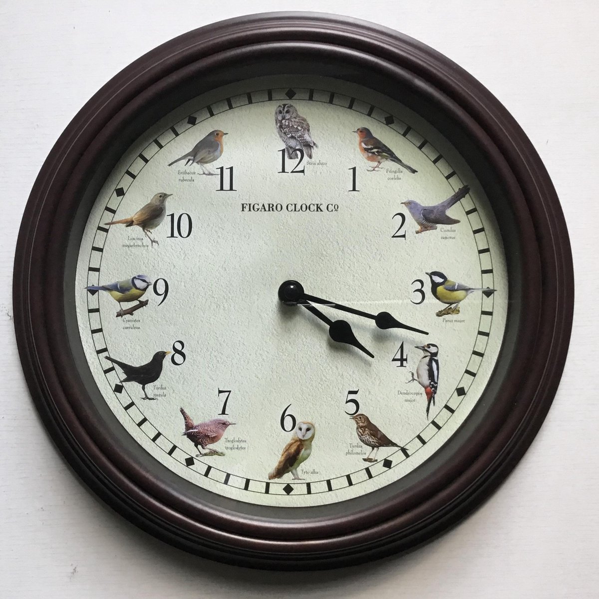 Wandklok met Vogelgeluiden - Klok Vogels - Wandklok - Landelijke Klok ...