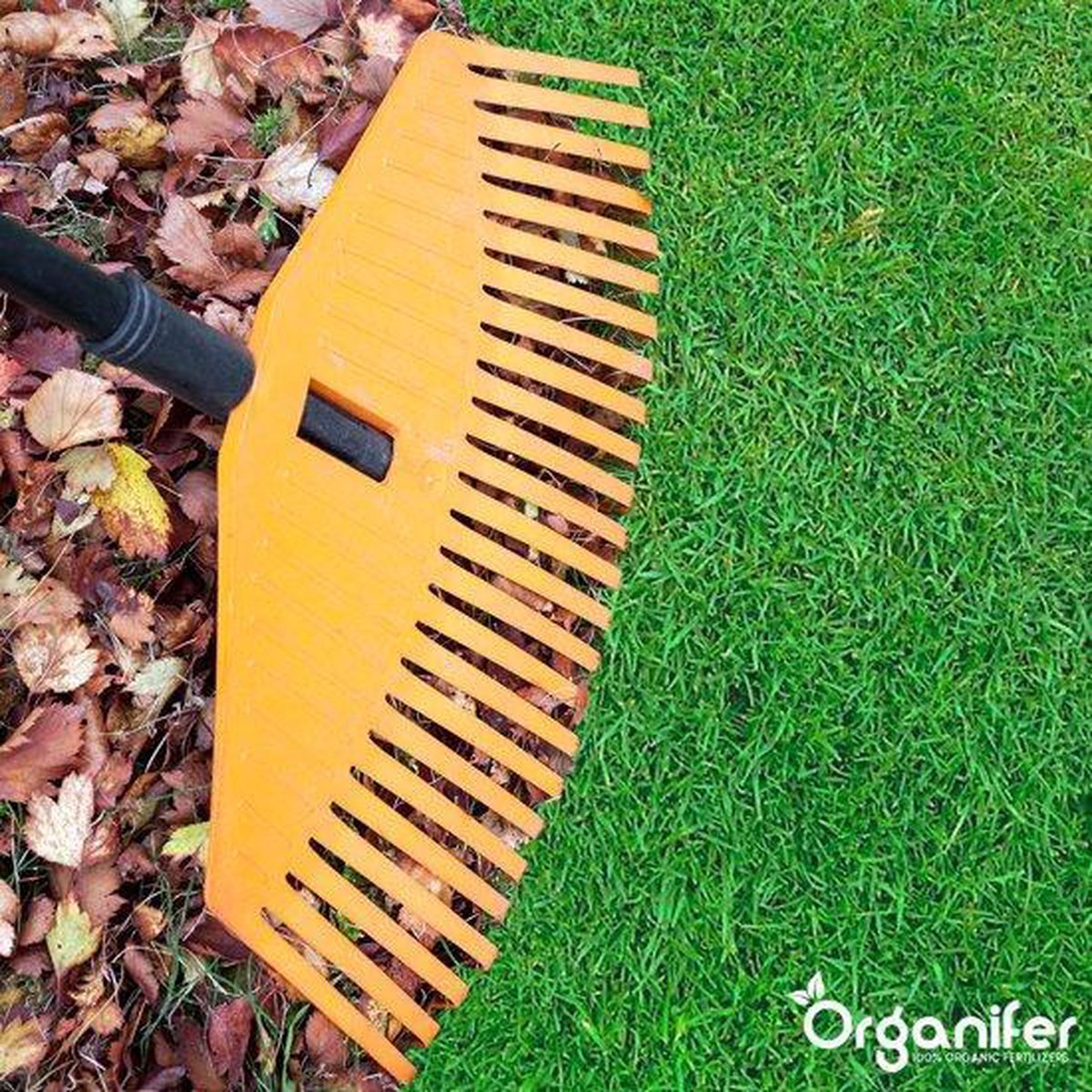 Najaarsmest All-In-One (40x - 800Kg – Voor 16000m2) Rijk aan kalium ...