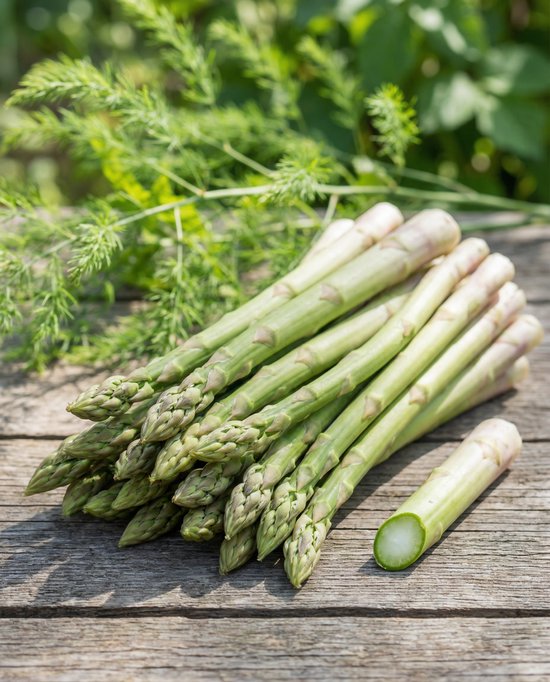 Asperge Zaden Argenteuil Asparagus Officinalis Meerjarig | bol