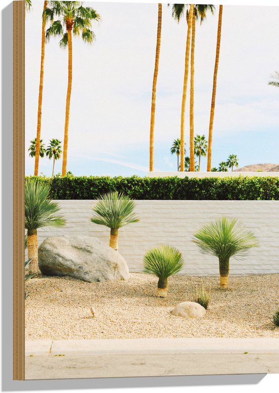 Hout - Bomen - Palmbomen - Heg - Muur - Steentjes - 40x60 cm - 9 mm dik ...