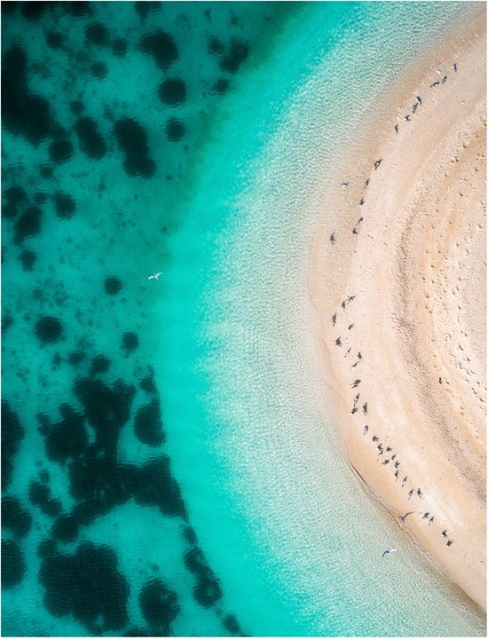 Bird's Eye View Kunstdruk | Poster | bol.com