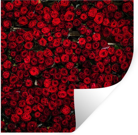 Muurstickers - Sticker Folie - Bloemen - Rozen - Rood - 120x120 cm ...