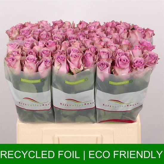 DutchFlowers - Boeket - 25x Rosa freedom 60cm | bol