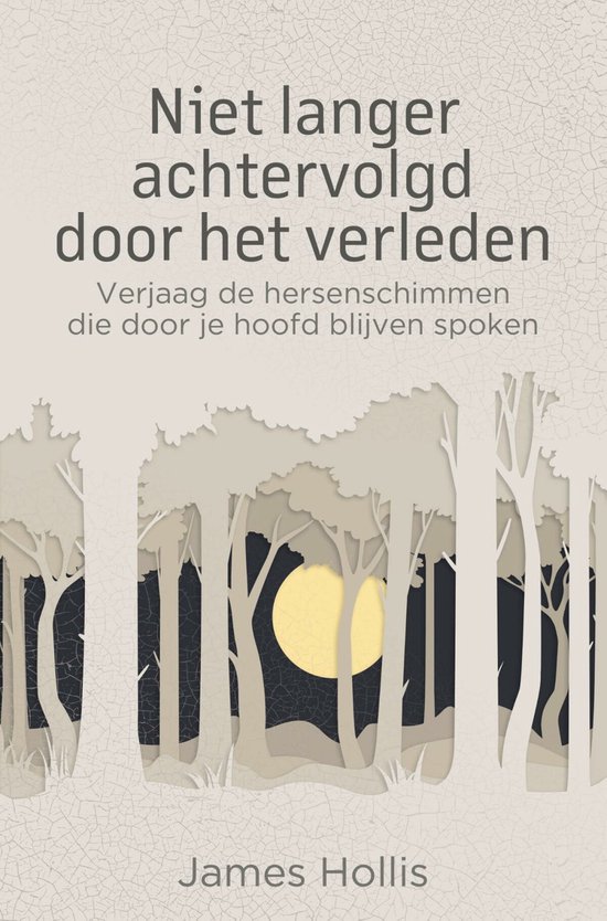 Niet langer achtervolgd door het verleden (ebook), James Hollis | 9789020220919 | Boeken | bol