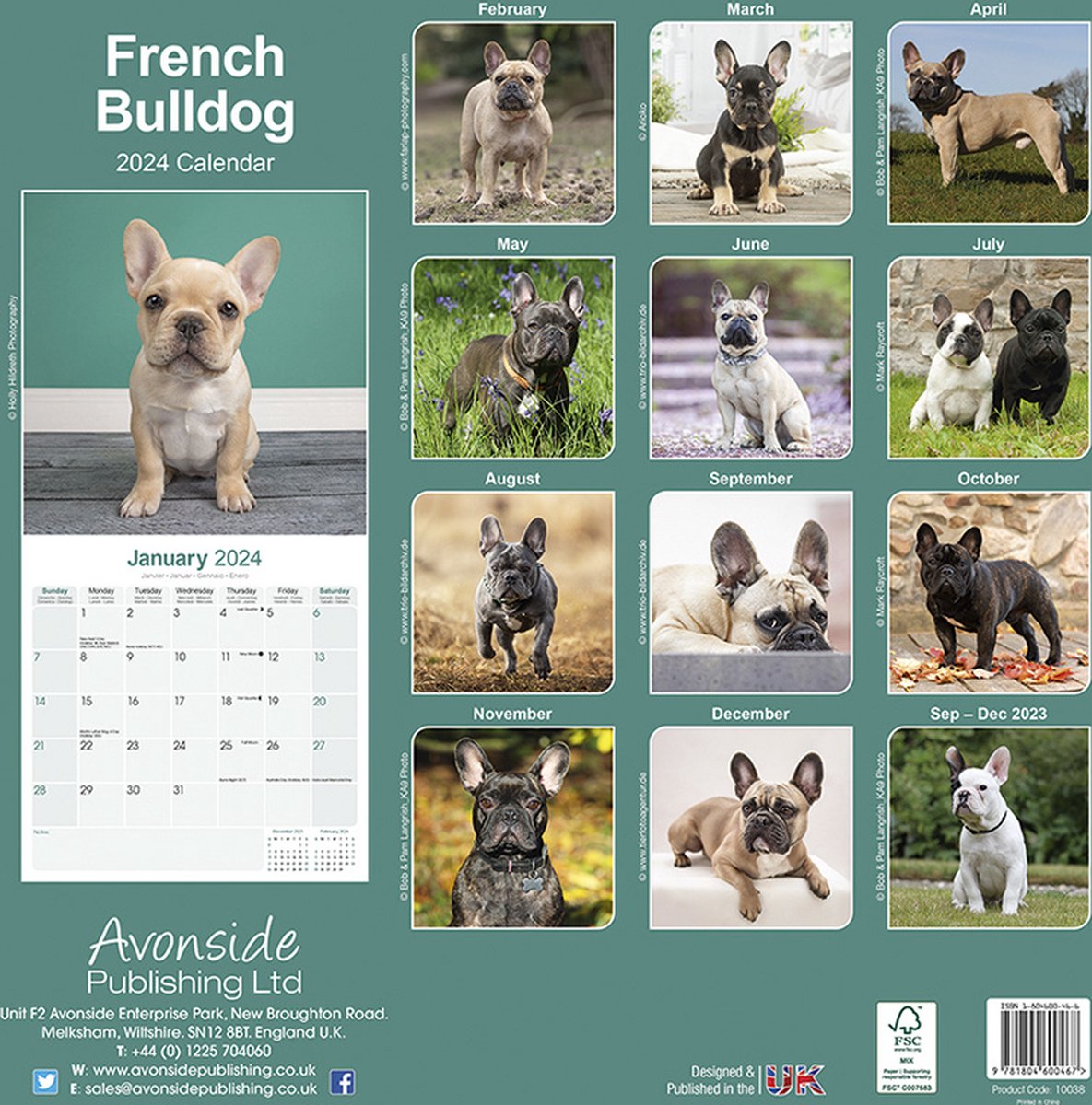 Franse Bulldog Kalender 2024 | bol
