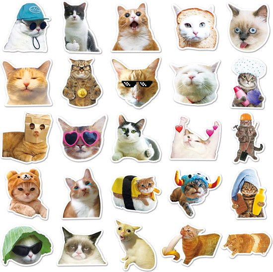Cat Meme sticker set - 50 stuks - Voor laptop, smartphone, muur. Voor ...