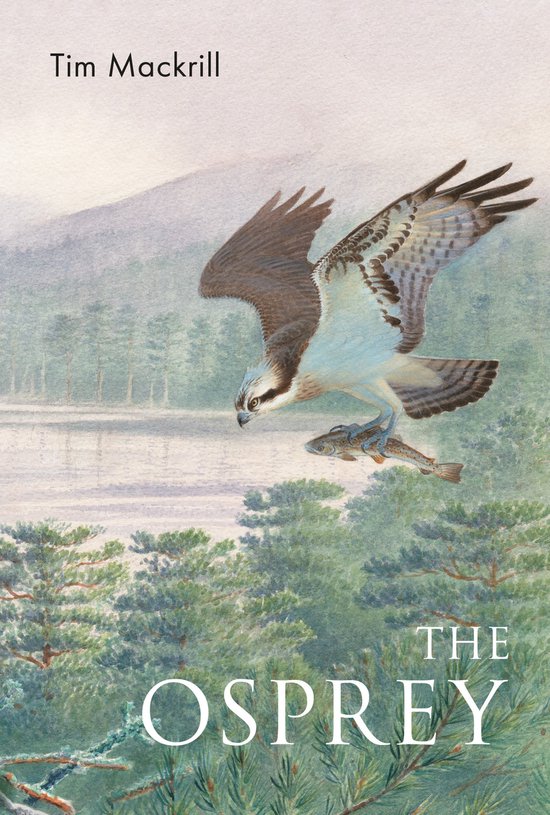 Poyser Monographs-The Osprey, Tim Mackrill | 9781472919908 | Boeken ...