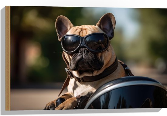 Hout - Bulldog Hond met Zonnebril Rijdend op Motor - 60x40 cm - 9 mm ...