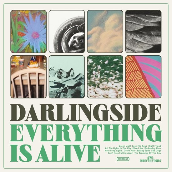 Everything Is Alive, Darlingside | Muziek | bol