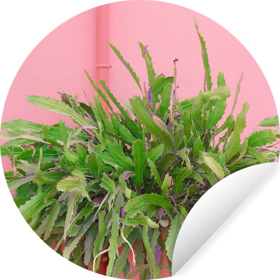 WallCircle - Muurstickers - Behangcirkel - Plant - Zomer - Roze - 100x100 cm -... | bol.com