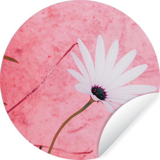 WallCircle - Muurstickers - Behangcirkel - Bloemen - Roze - Vintage - ⌀ 120 cm -... | bol