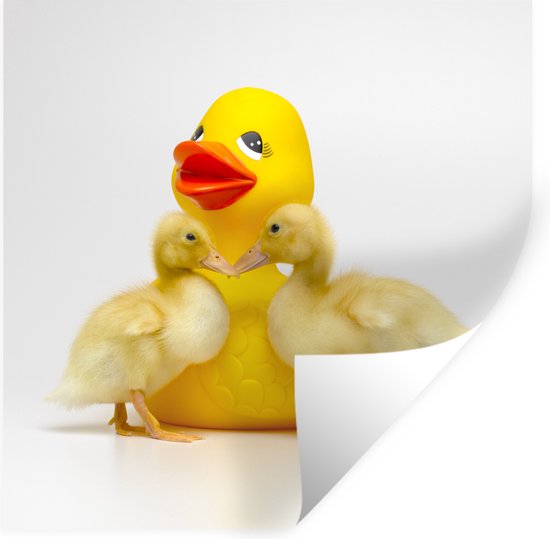 Muurstickers - Sticker Folie - Bad eend met twee baby eenden op witte ...