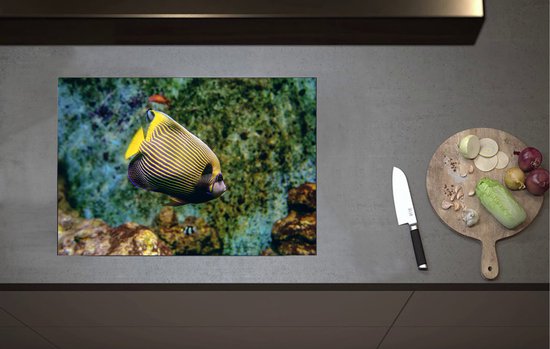 Inductieplaat Beschermer - Geel met Blauw Gestreepte Keizersvis ...