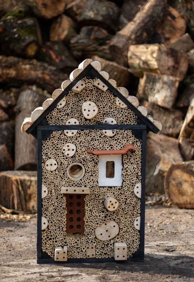 Insectenhotel de Langpoot 20x50x90 cm | bol