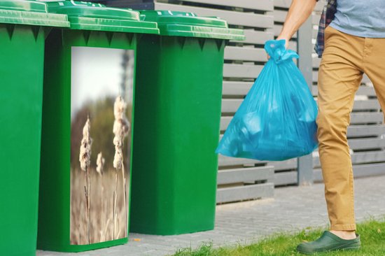 Container sticker Katoen - Zon - Planten - 38x80 cm - Kliko sticker ...