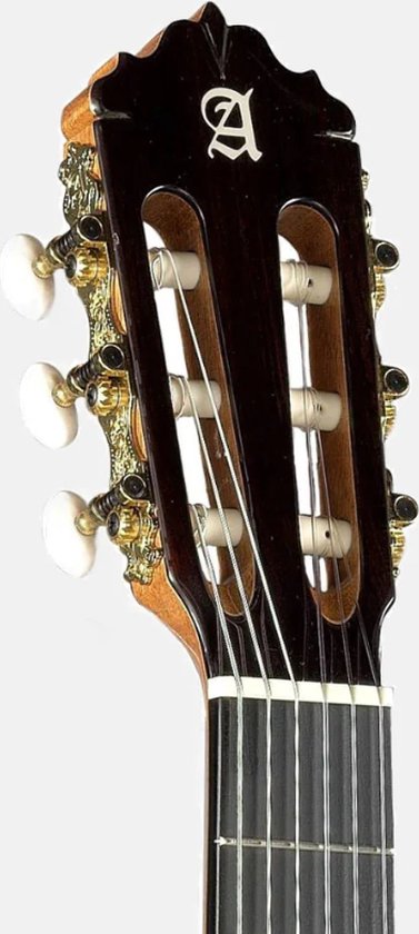 Alhambra 5P CW E8 Semi-Akoestische Gitaar | bol.com