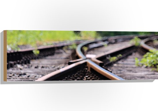 Hout - Kruisende Treinrails bij Grassen - 90x30 cm - 9 mm dik - Foto op ...