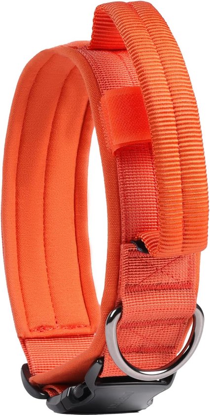 Dog Collar with Metal Buckle (Orange, XL) | bol