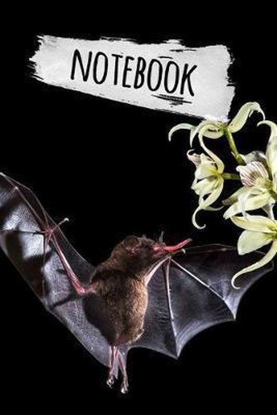 Bat Notebook, Malte Dethlefs | 9781692813857 | Boeken | bol.com