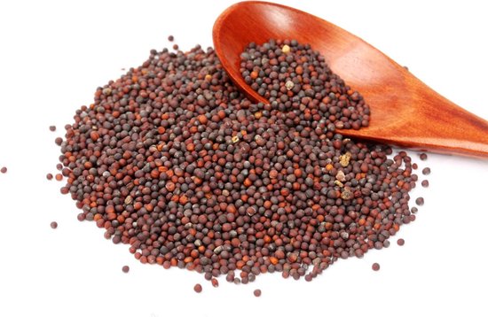 Biologische Rode kool kiemzaden 250 gram | bol.com