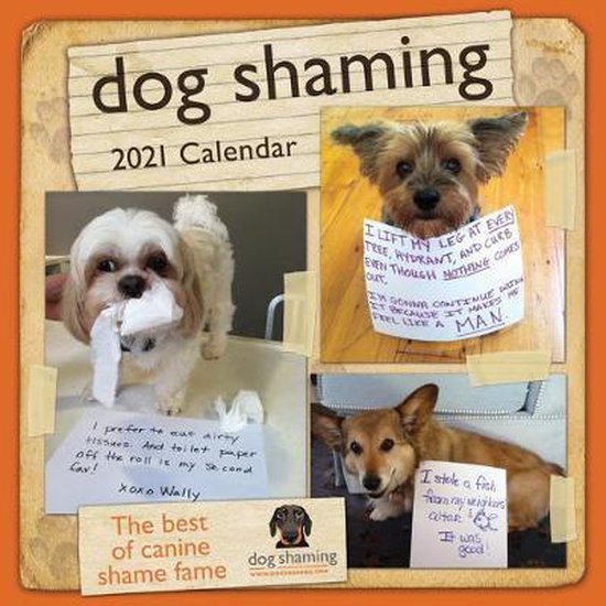 Dog Shaming 2021 Calendar | bol.com