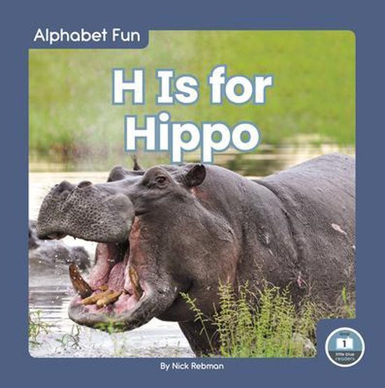 Alphabet Fun, Nick Rebman | 9781646193998 | Boeken | bol.com
