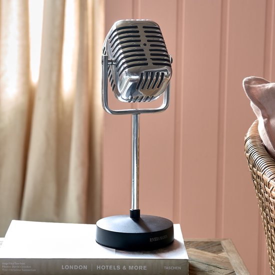 RM Microphone Statue | bol
