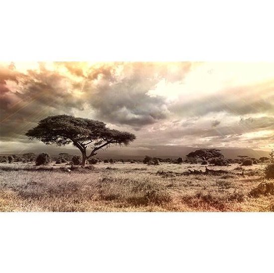 Diamond Painting voor volwassenen - Afrikaanse Savanne - 50x40 cm ...