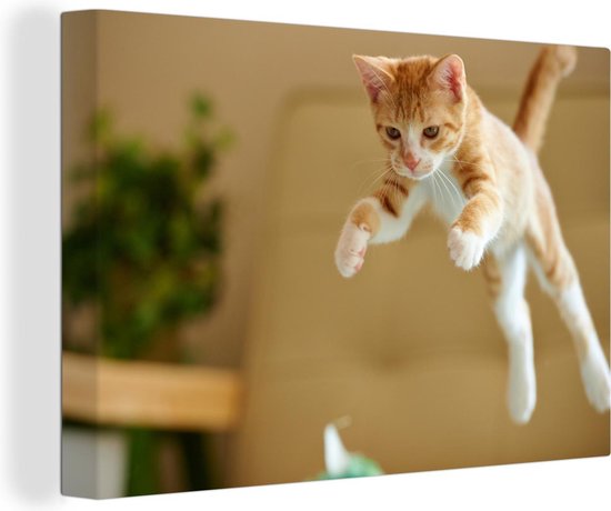 Canvas Schilderij Kat - Springen - Oranje - 30x20 cm - Wanddecoratie | bol