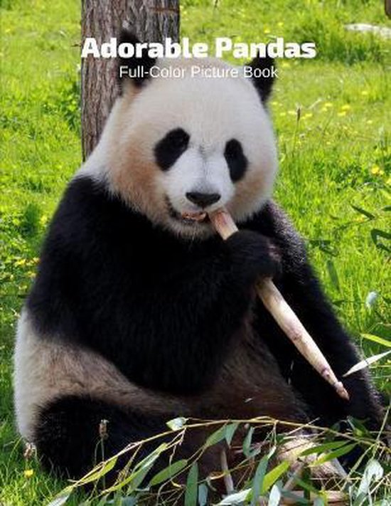 Adorable Panda Full-Color Picture Book, Fabulous Book Press ...