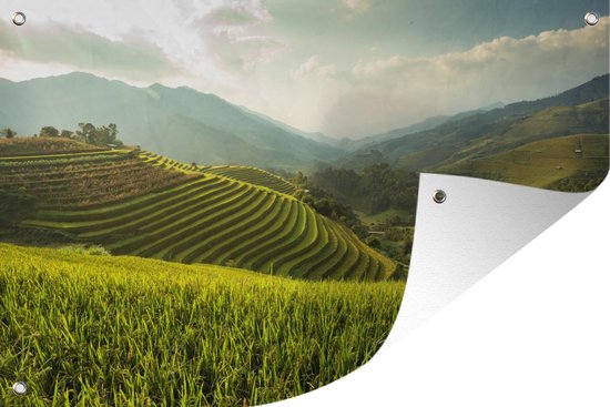 Tuinposters buiten Groot rijstveld in Vietnam - 90x60 cm - Tuindoek ...
